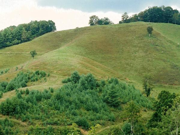 CHERRY TREE HILL rises 300 feet above the valley floor standing at ...